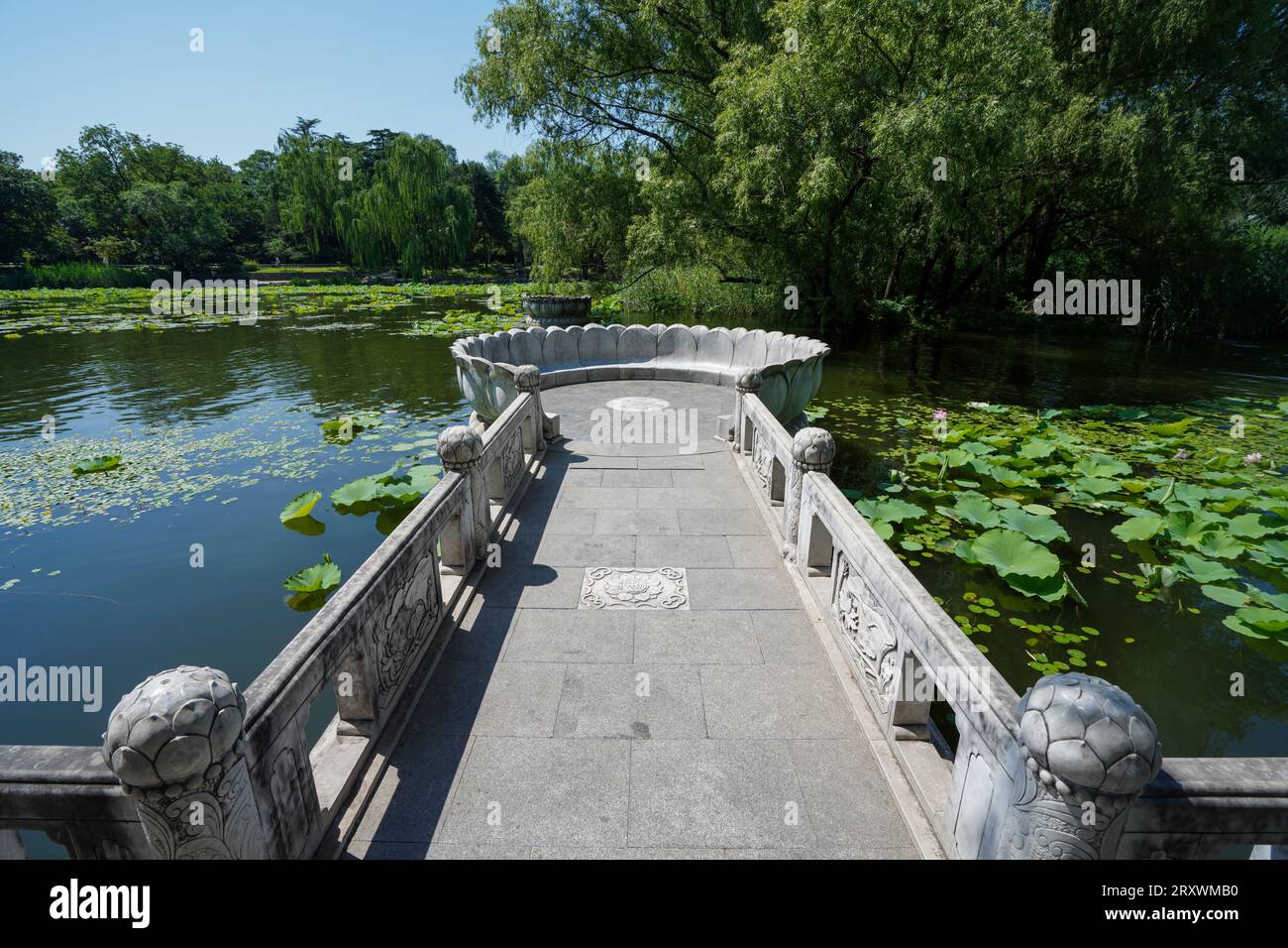 Beijing City, China - June 22, 2023: Stone Lotus Seat, Purple Bamboo ...