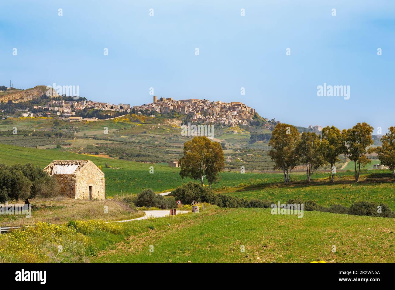 Spring landscape under the historic town of Salemi on the island of ...