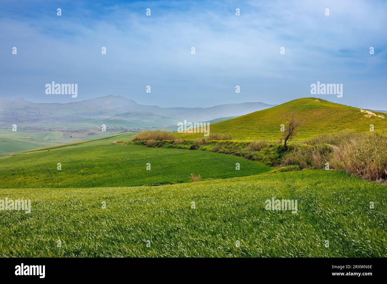 Sicily green landscape hi-res stock photography and images - Alamy