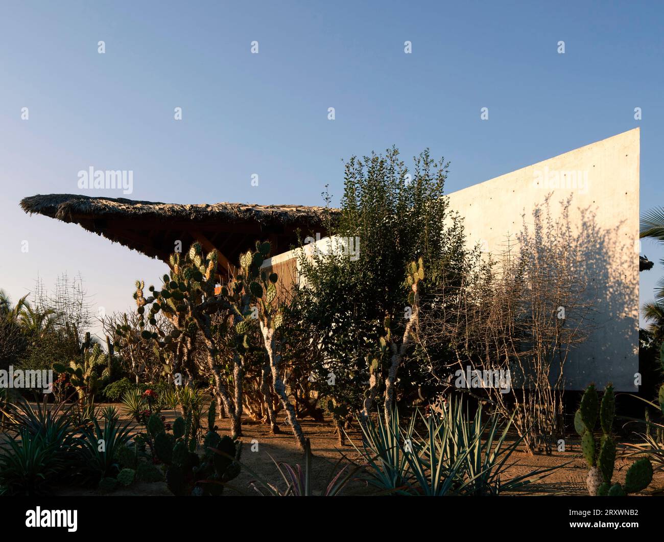 Main house with straw-thatched roof. Casa Leria, Puerto Escindido ...