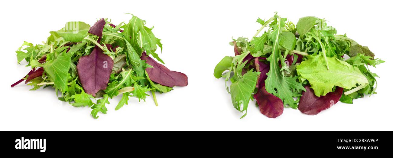 Mix of different salads isolated on white background Stock Photo - Alamy