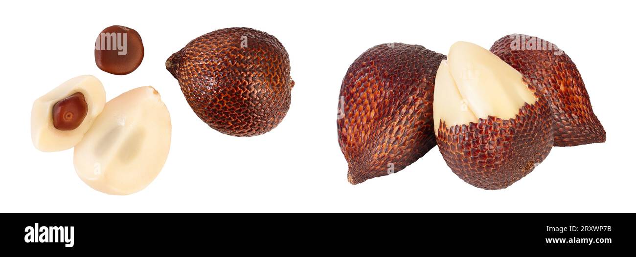 Salak snake fruit isolated on white background with full depth of field ...