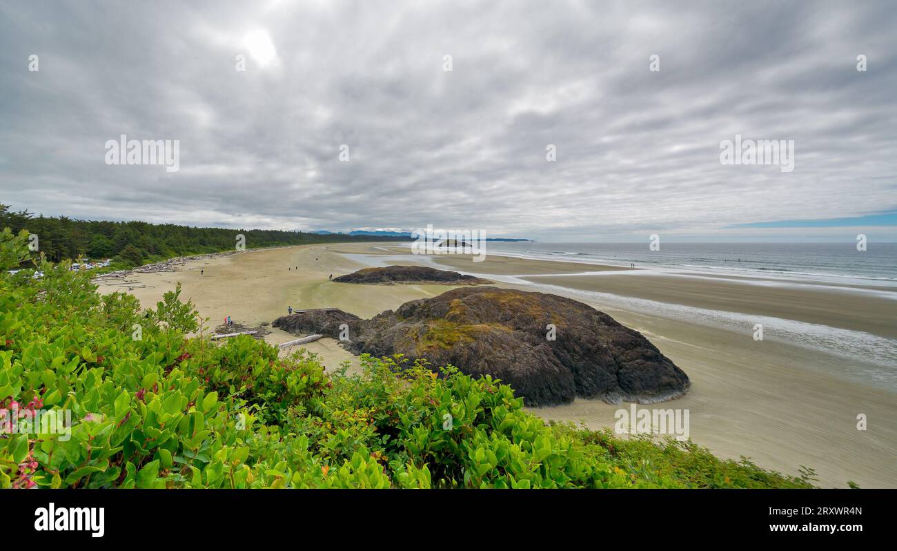 Tofino canada overview hi-res stock photography and images - Alamy