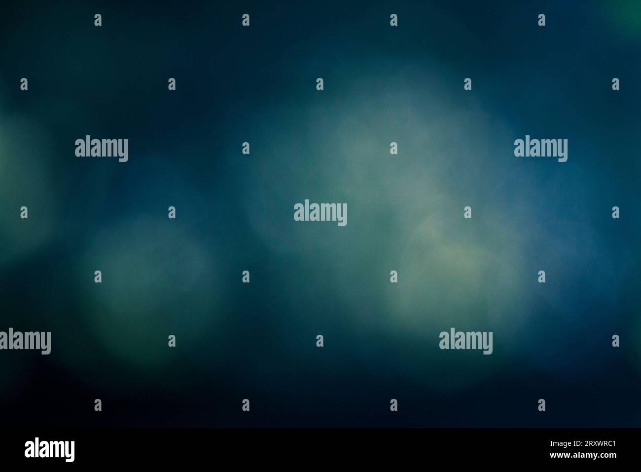 Abstract flare effects with diffused brighter color in a dense forest ...