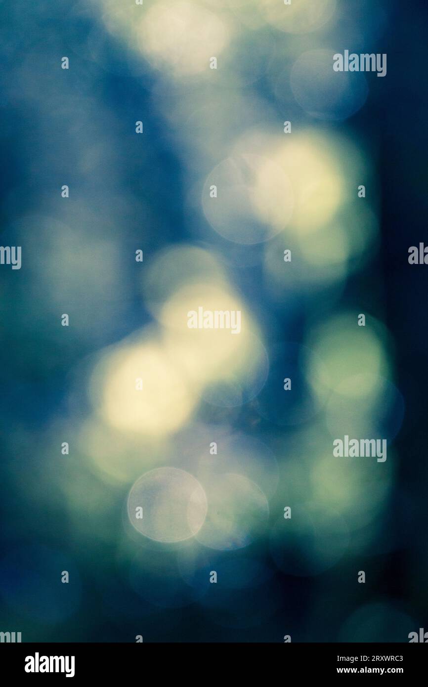 Abstract flare effects with big round orbs in a dense forest Stock ...