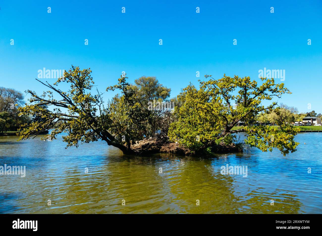 Lake weeroona park hi-res stock photography and images - Alamy