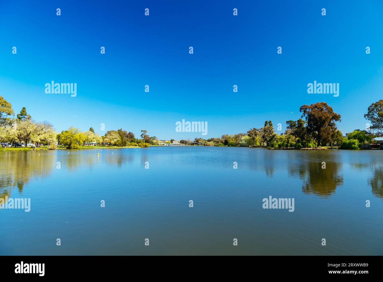 See weeroona hi-res stock photography and images - Alamy