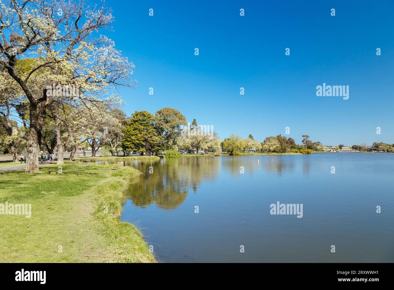 Lake Weeroona in Bendigo Australia Stock Photo - Alamy