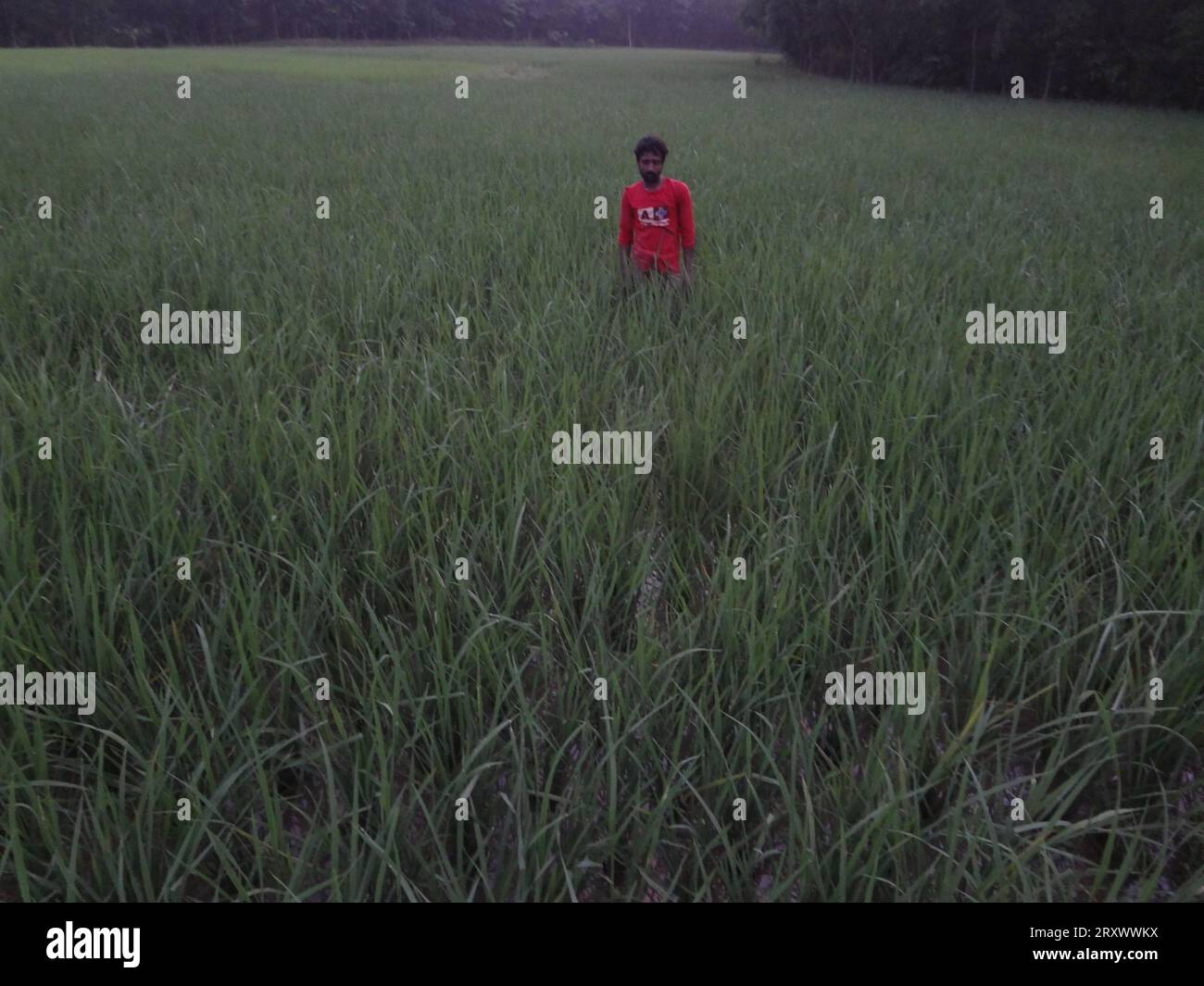 Beldanga hi-res stock photography and images - Alamy