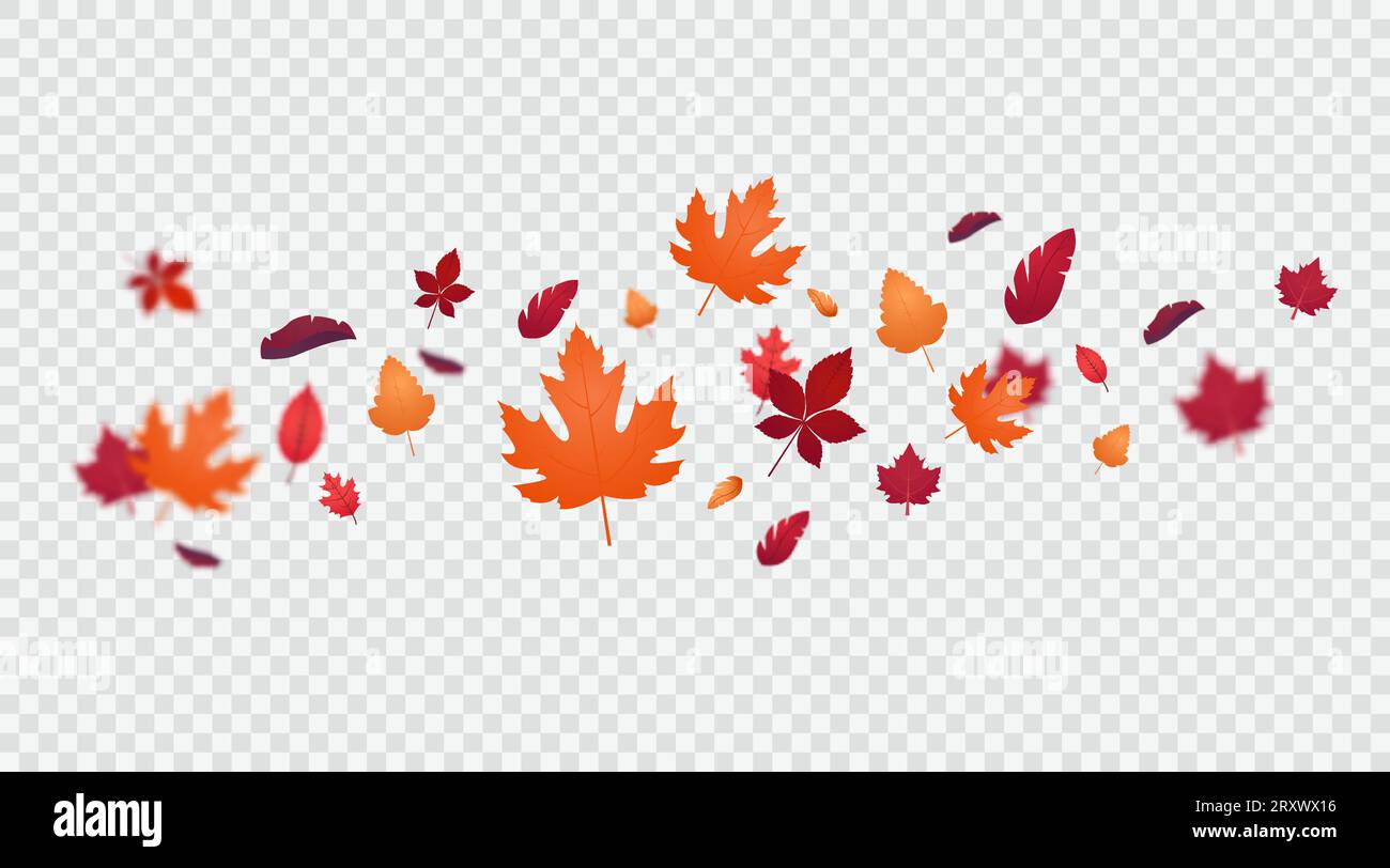 Autumn falling leaves on transparent background. Vector illustration ...