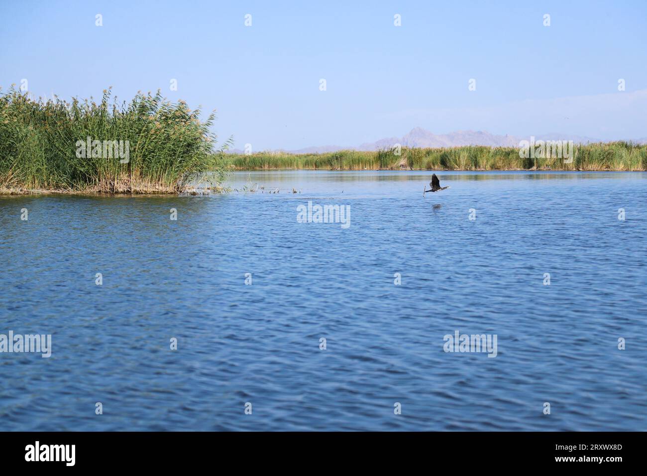 (230927) -- BAYANNUR, Sept. 27, 2023 (Xinhua) -- This photo taken on ...