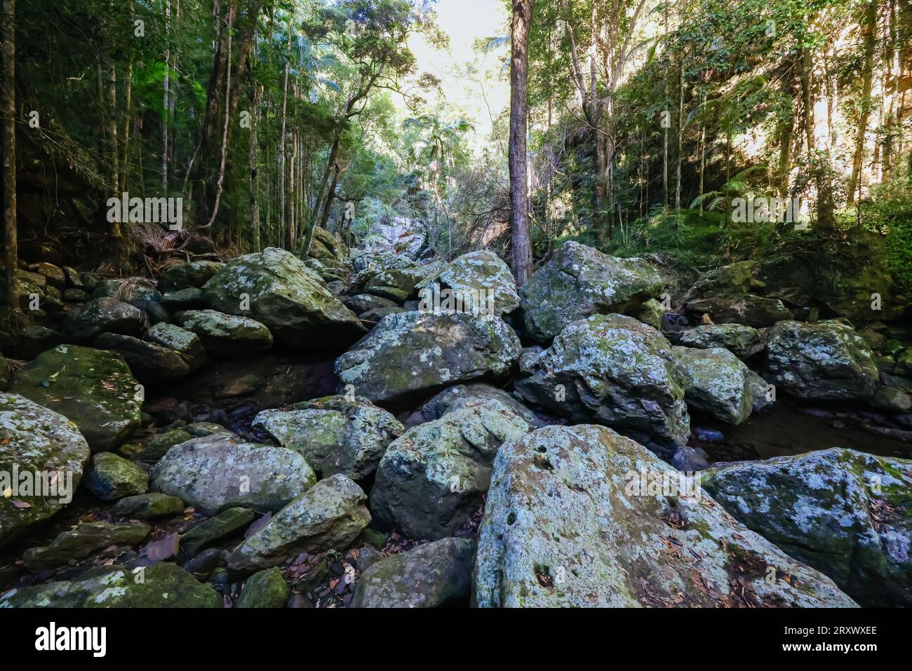 Kondalilla falls circuit hi-res stock photography and images - Alamy