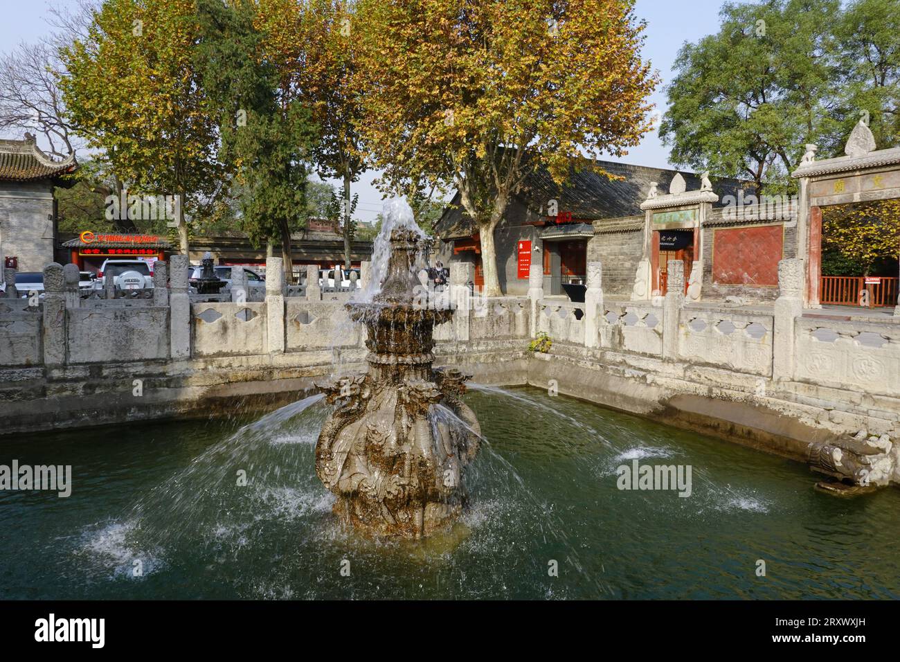 Thousand-year-old trees in Chinese gardens Stock Photo - Alamy