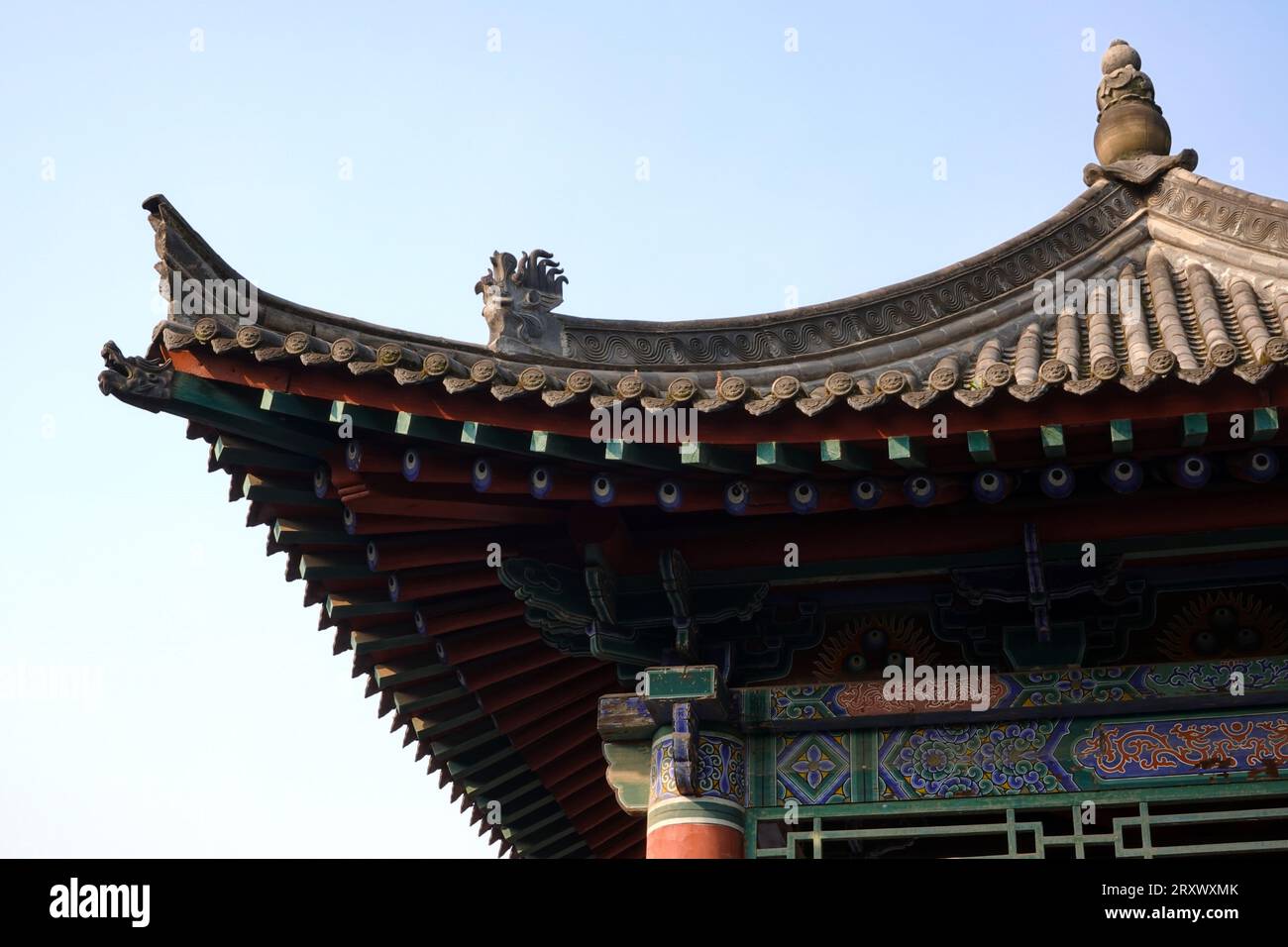 Thousand-year-old trees in Chinese gardens Stock Photo - Alamy