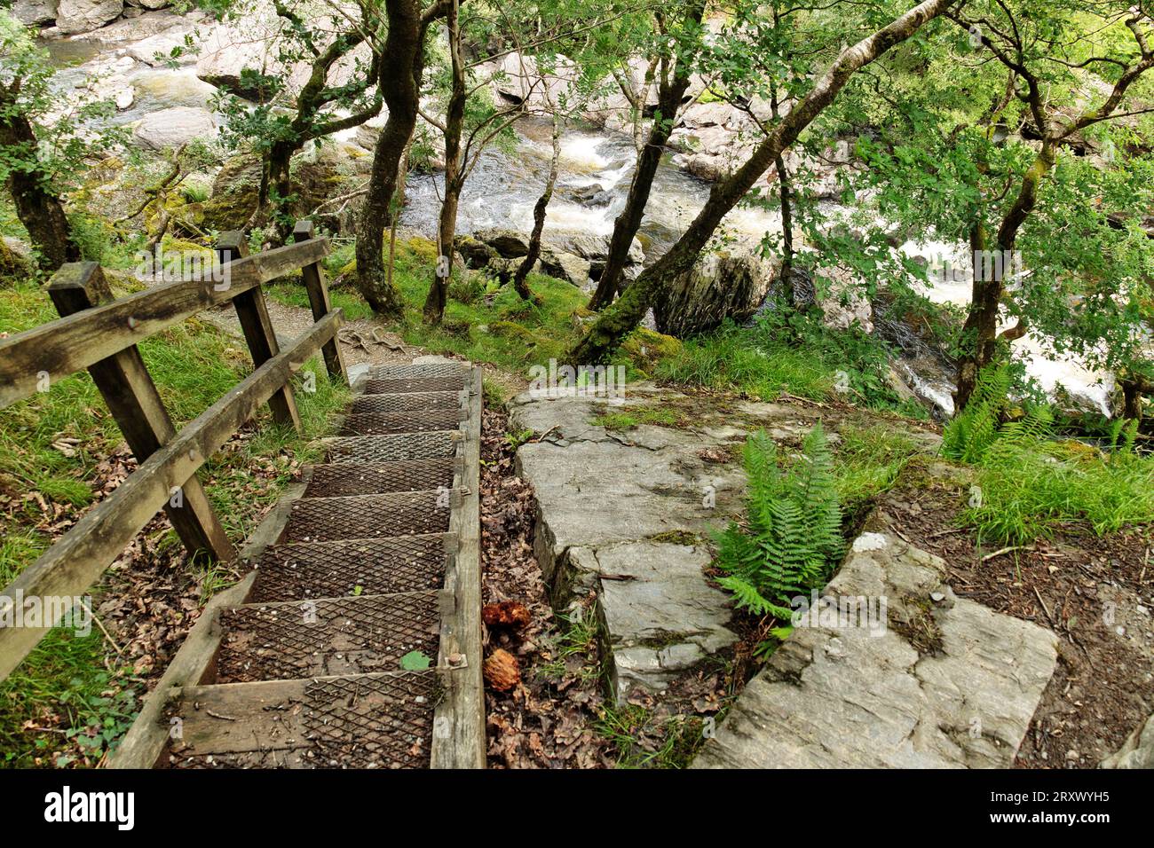RSPB reserve Gwenffrwd-dinas, Ystradffin, Llandovery, Carmarthenshire ...