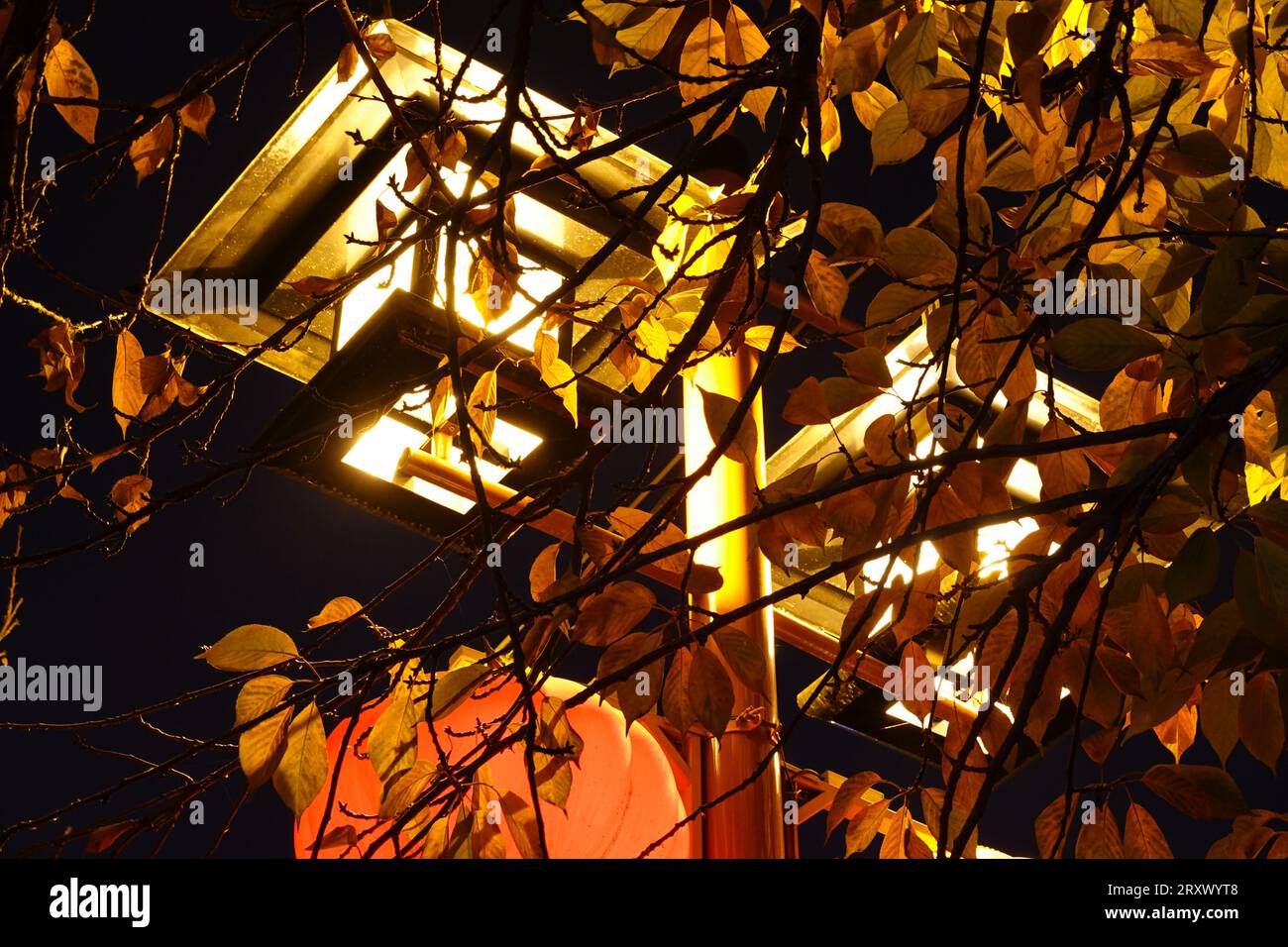 Chinese street lamp among trees Stock Photo - Alamy
