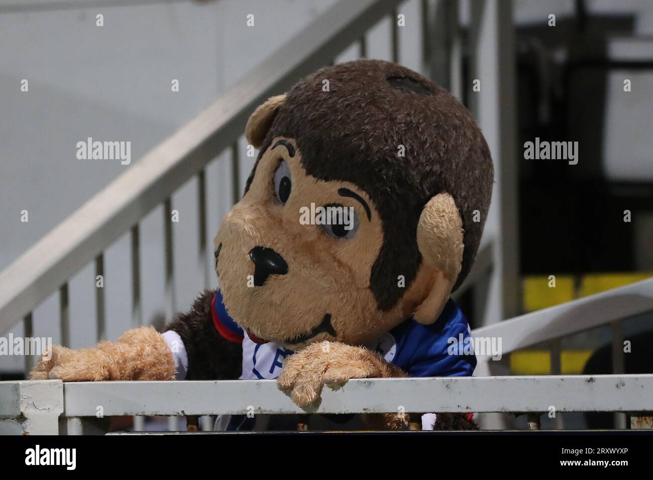 Hartlepool united mascot hi-res stock photography and images - Alamy