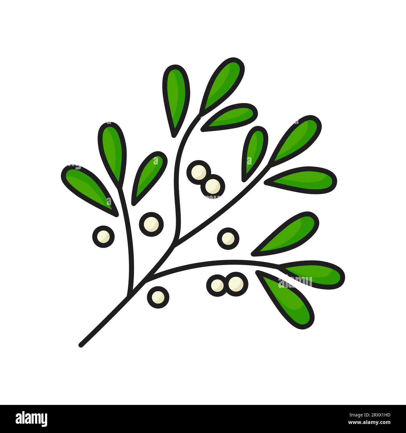 Mistle berry Stock Vector Images - Alamy