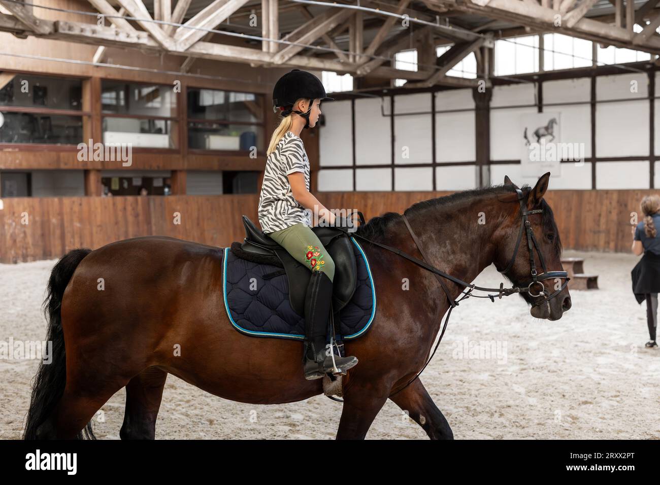 Horse riding school. Little children girls at group training equestrian lessons in indoor ranch ...