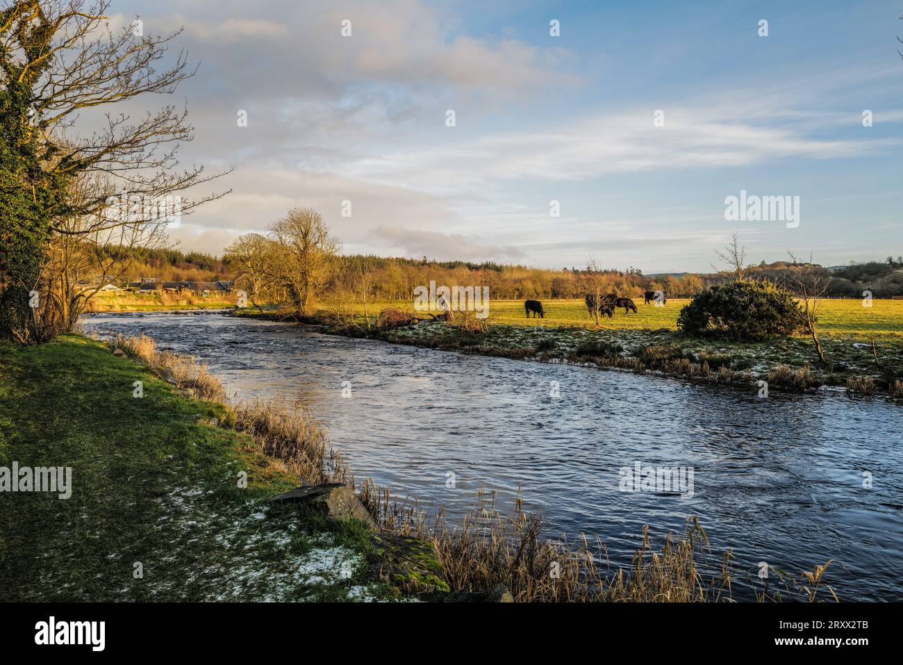 Winters view of the countryside around the River Doon as it flows ...
