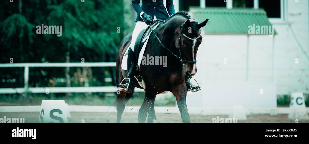 Intricate movements hi-res stock photography and images - Alamy