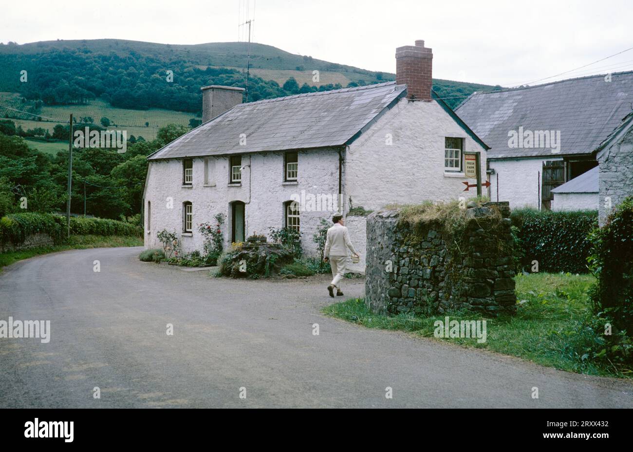 Silcocks fresh farm eggs, Aber Bran, Brecon, Brecknockshire, Powys ...
