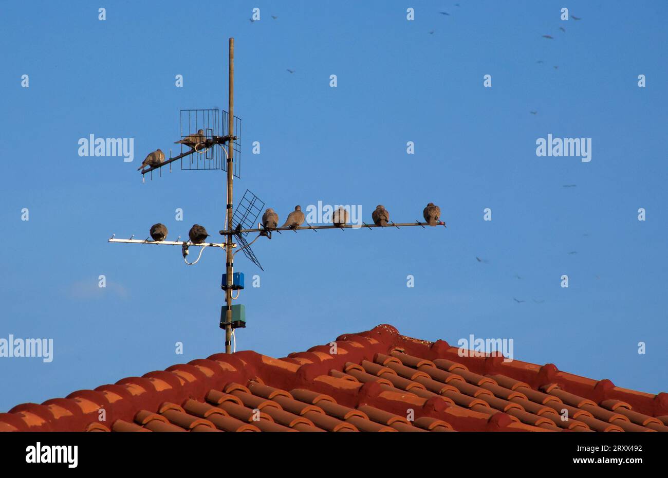 Sosta in sosta hi-res stock photography and images - Alamy