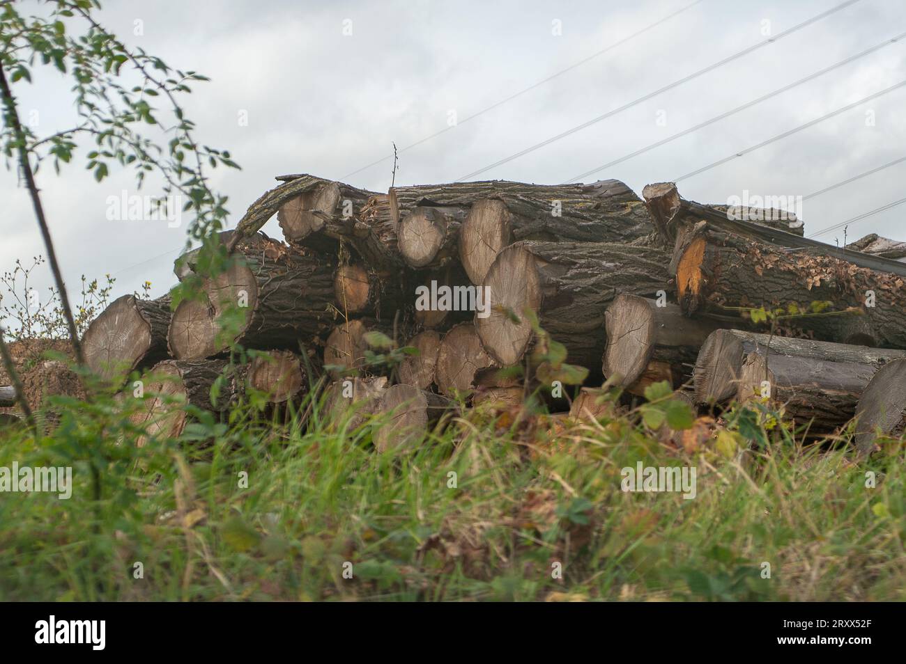 Harefield, UK. 27th September, 2023. The now familar sight of trees and ...