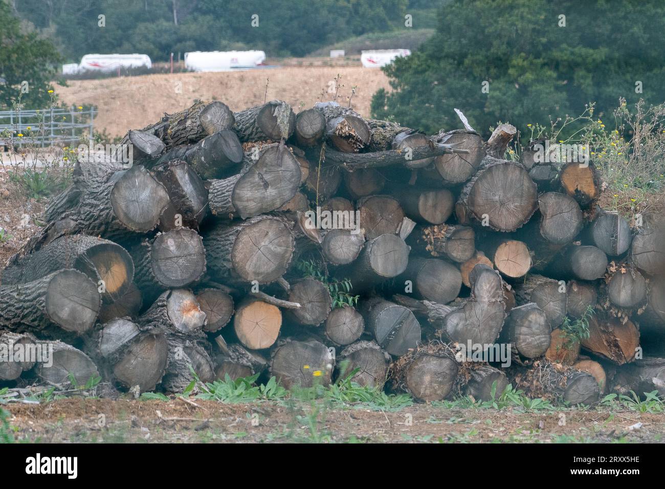 Harefield, UK. 27th September, 2023. The now familar sight of trees and ...