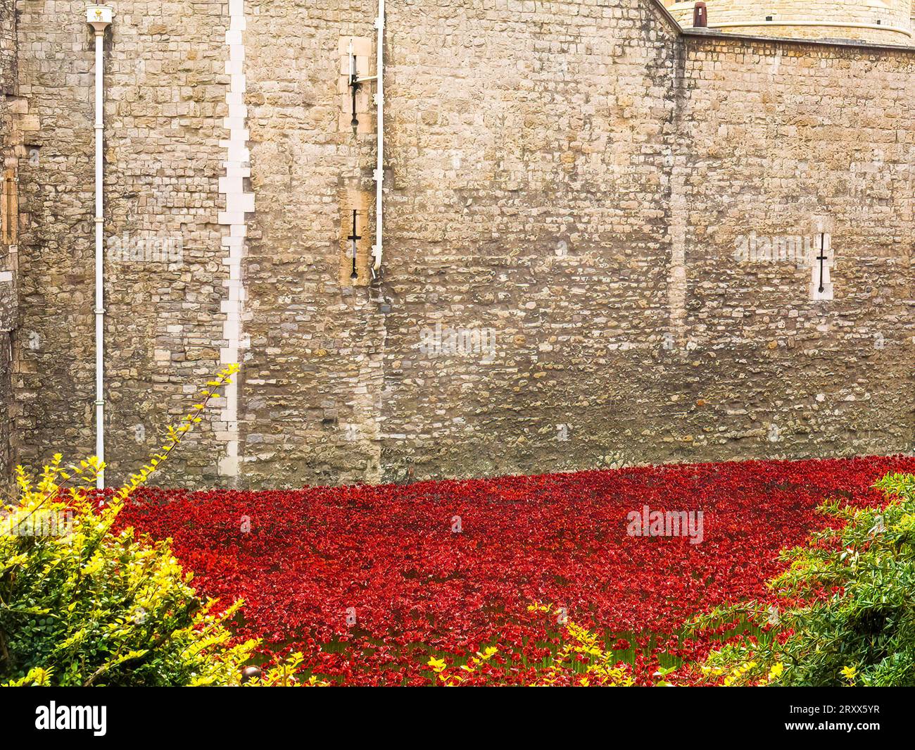 Blood spewing hi-res stock photography and images - Alamy