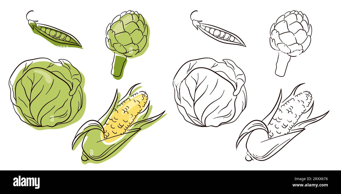 Small set with hand drawn line art vegetables. Sketch style. Flat icons ...