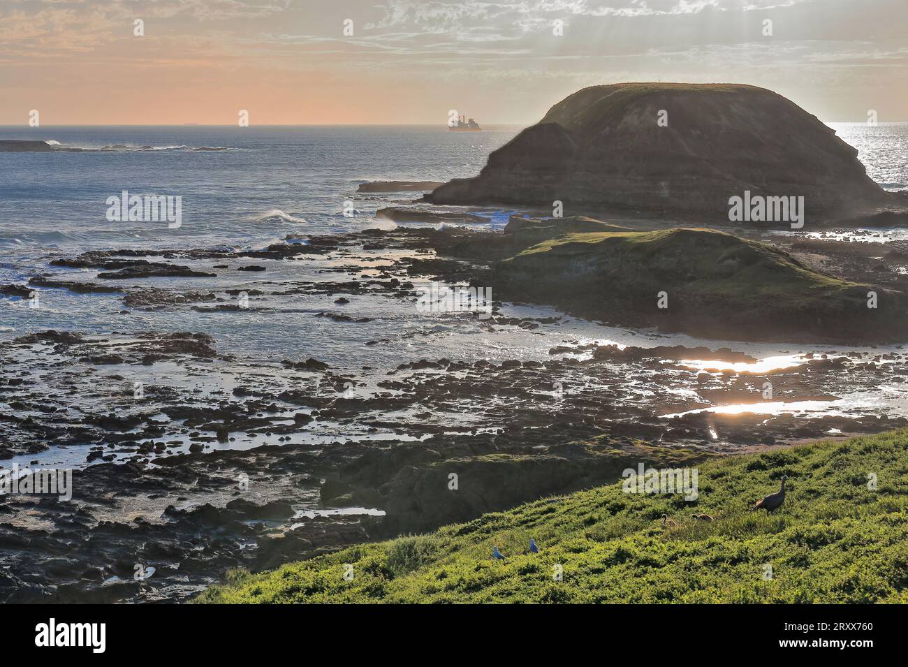968+ The Nobbies and The Seal Rocks formation seen from the boardwalk ...
