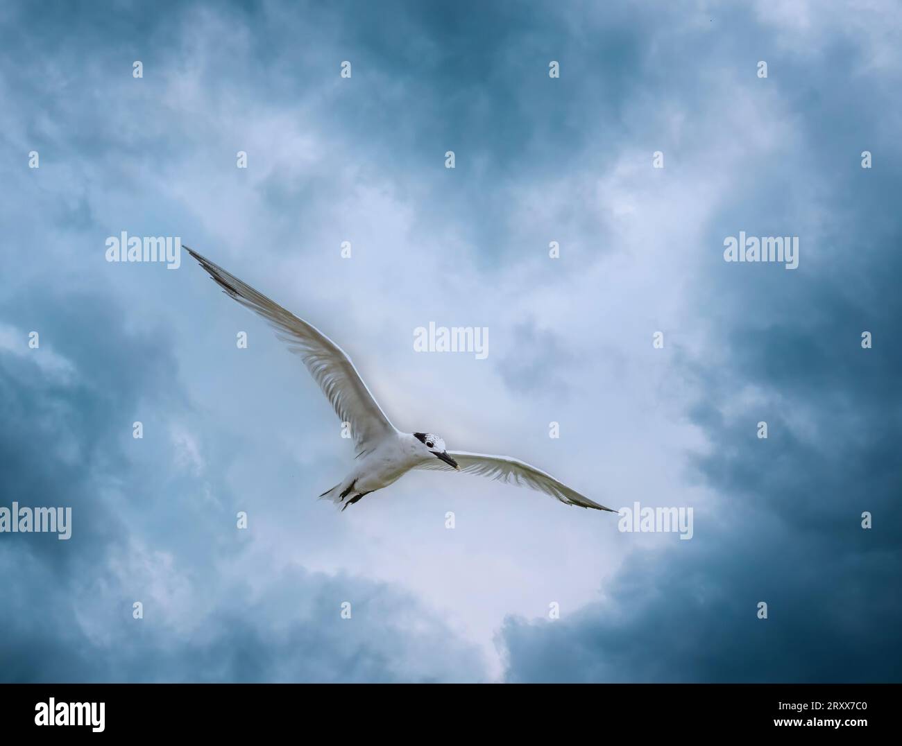 Cloudy sky overhead hi-res stock photography and images - Alamy