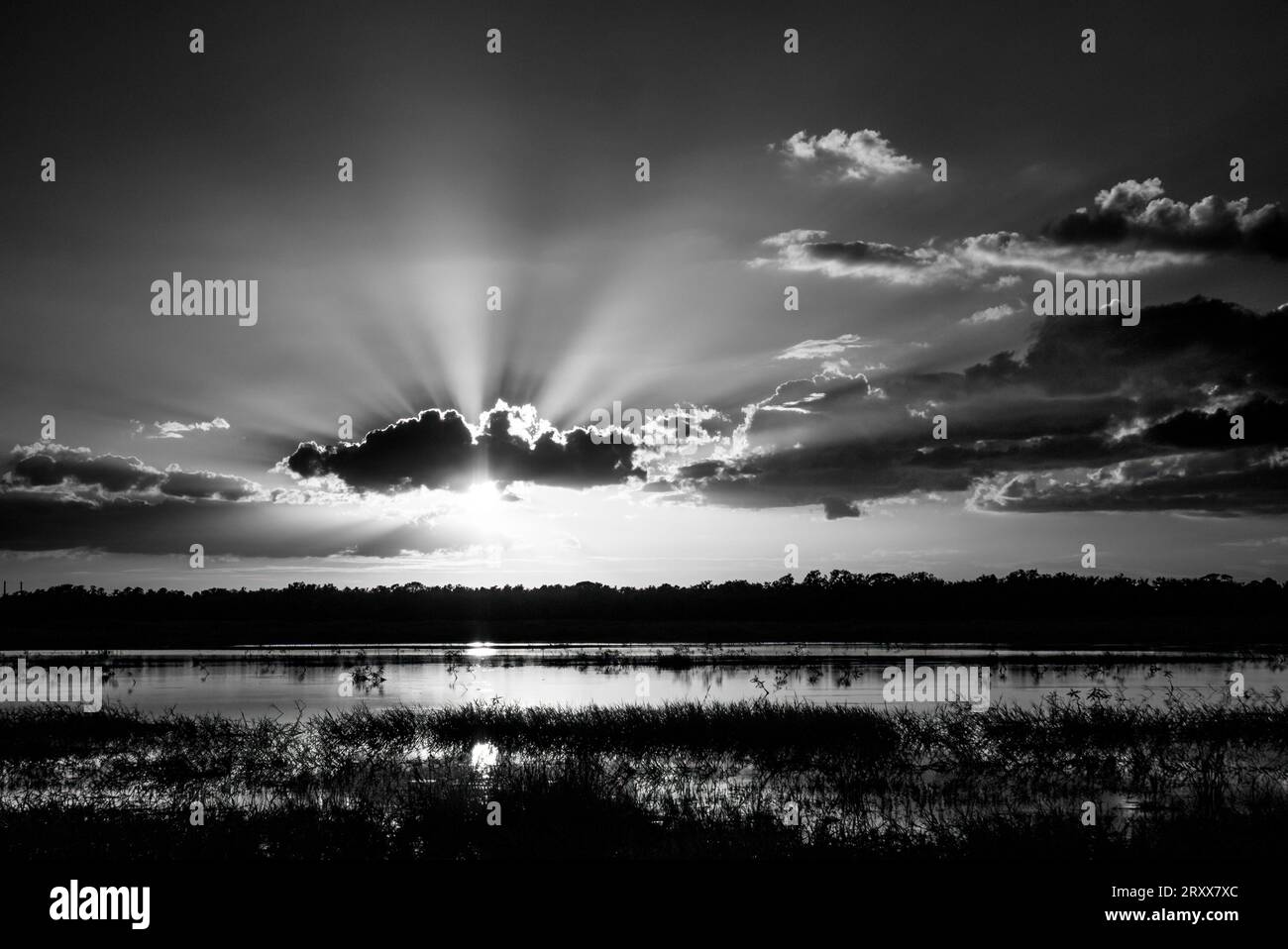 INfrared Red black and white image of sun with sun rays in blue sky ...