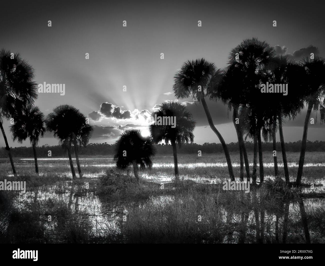 Infrared Red black and white image of sun with sun rays with clouds at ...