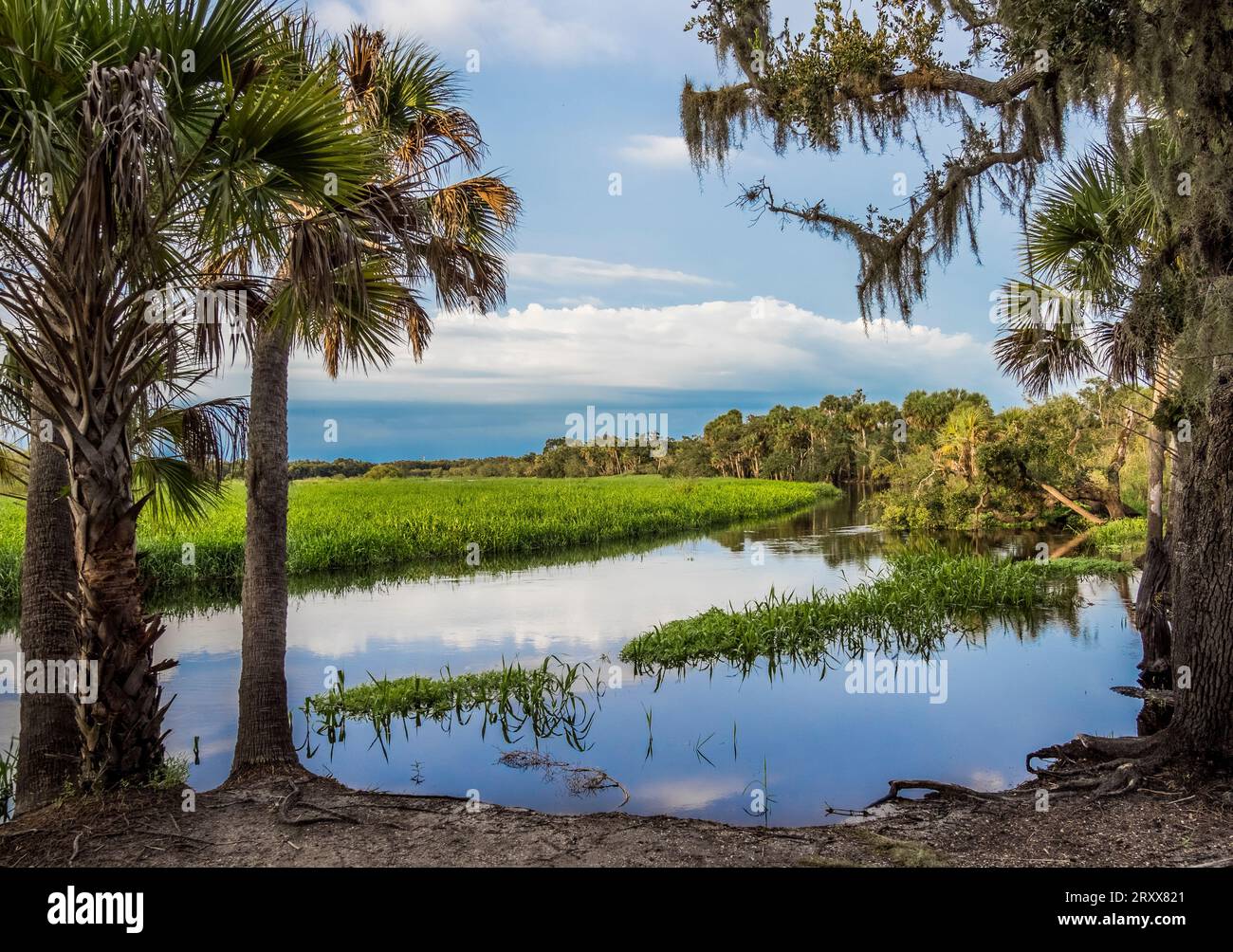 Myakka River at the loop area of Myakka River State Park in Sarasota ...