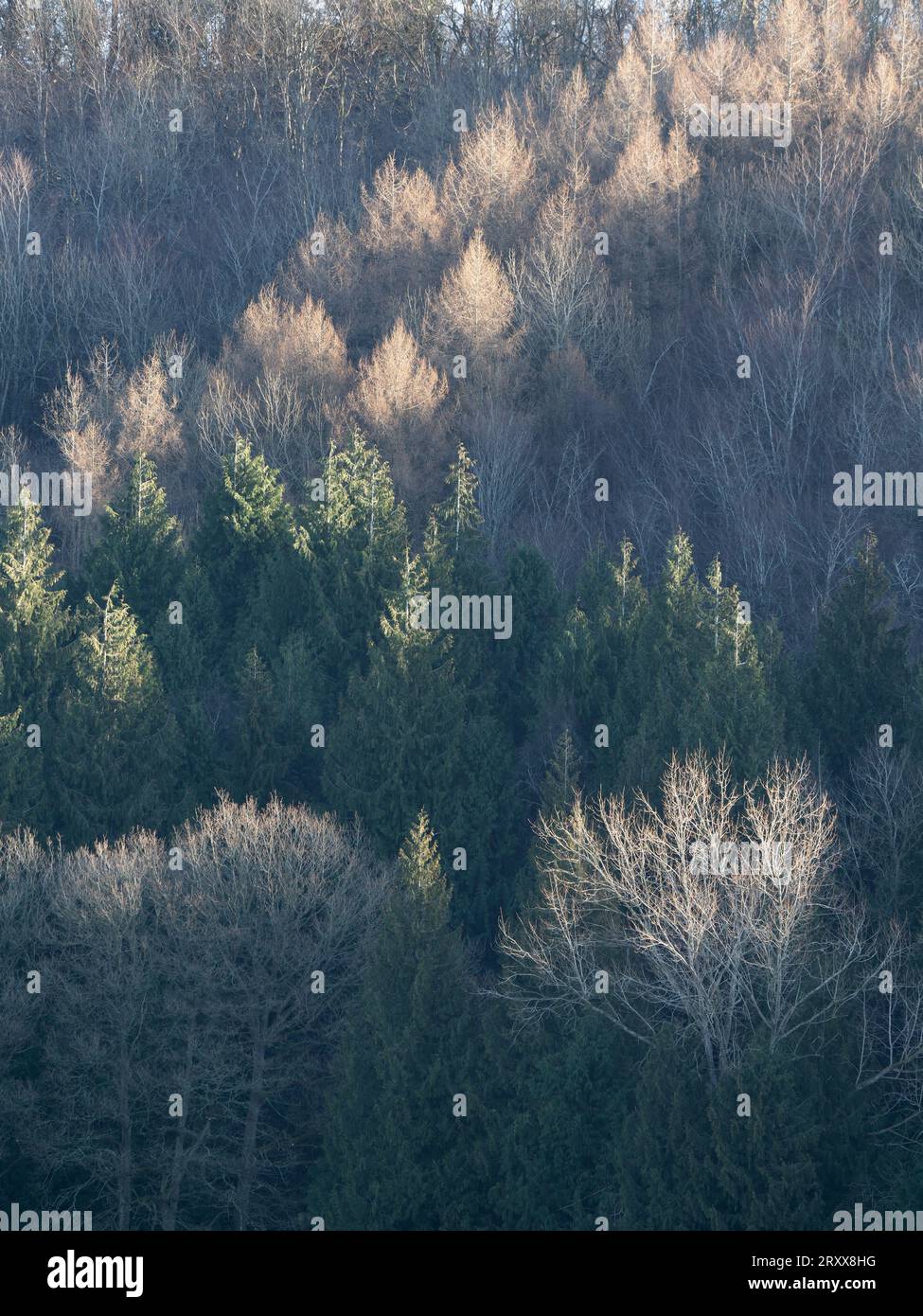 Wenlock edge in winter hi-res stock photography and images - Alamy