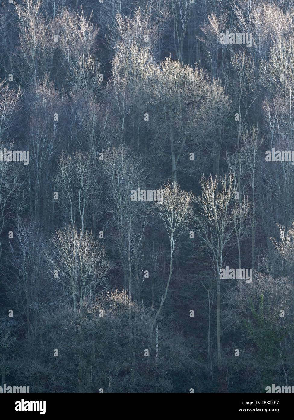 Wenlock edge in winter hi-res stock photography and images - Alamy