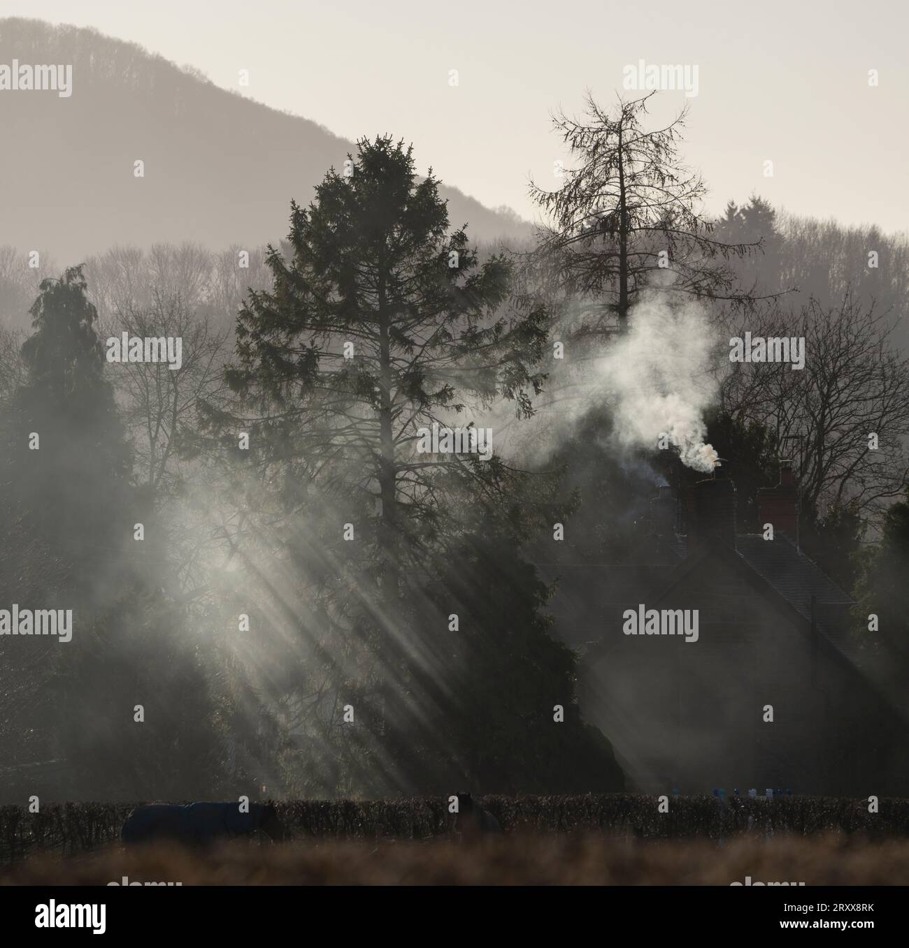 Wenlock edge in winter hi-res stock photography and images - Alamy