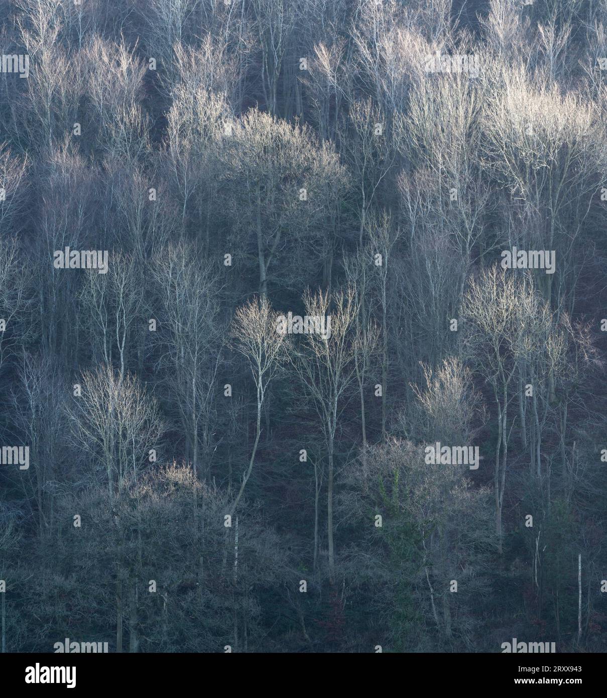 Wenlock edge in winter hi-res stock photography and images - Alamy