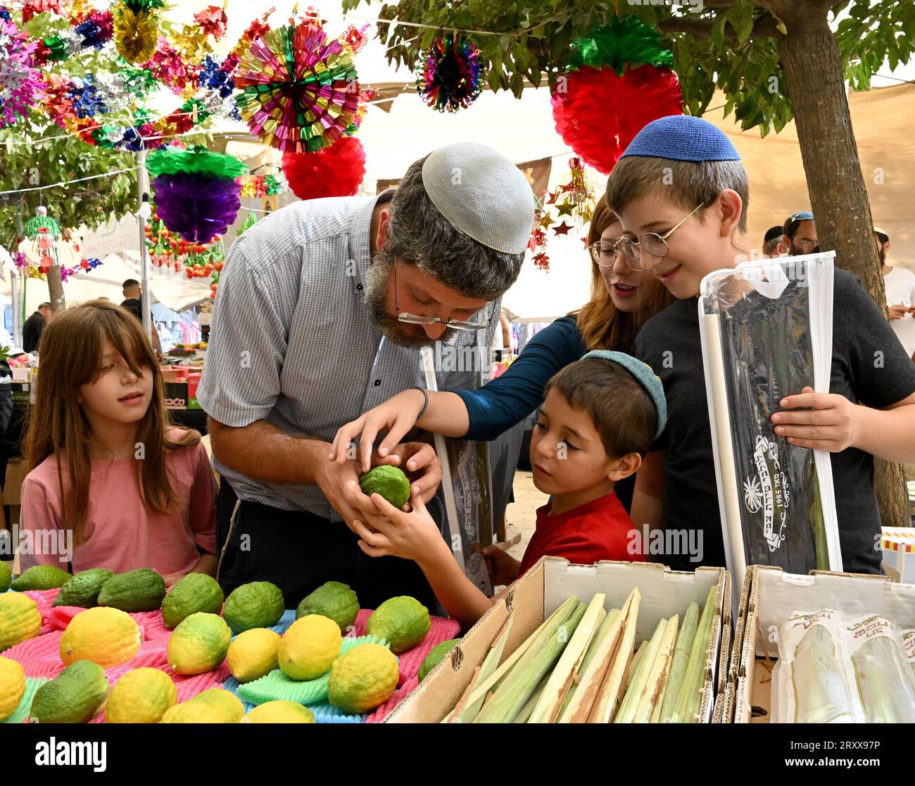 A Jewish family inspects an etrog, a citron, one of the four species ...
