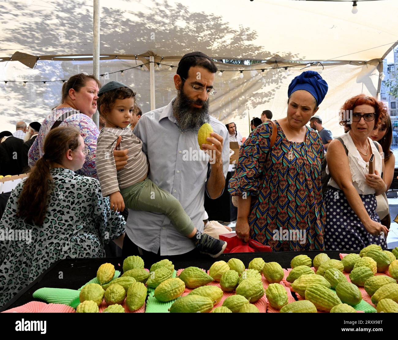 An Orthodox Jew inspects an etrog, a citron, one of the four species ...