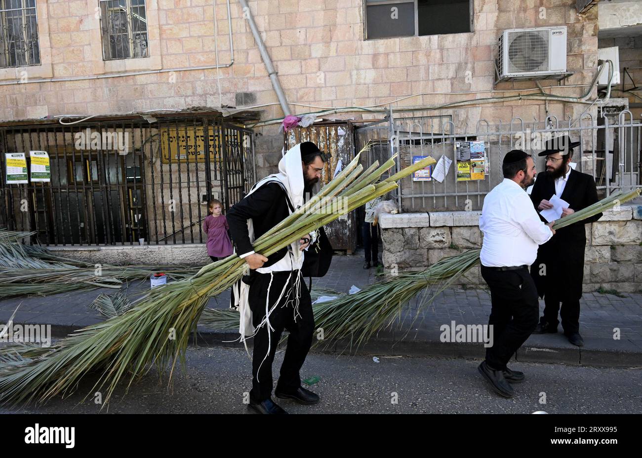 Ultra-Orthodox Jews carry palm branches used during the Jewish holiday ...