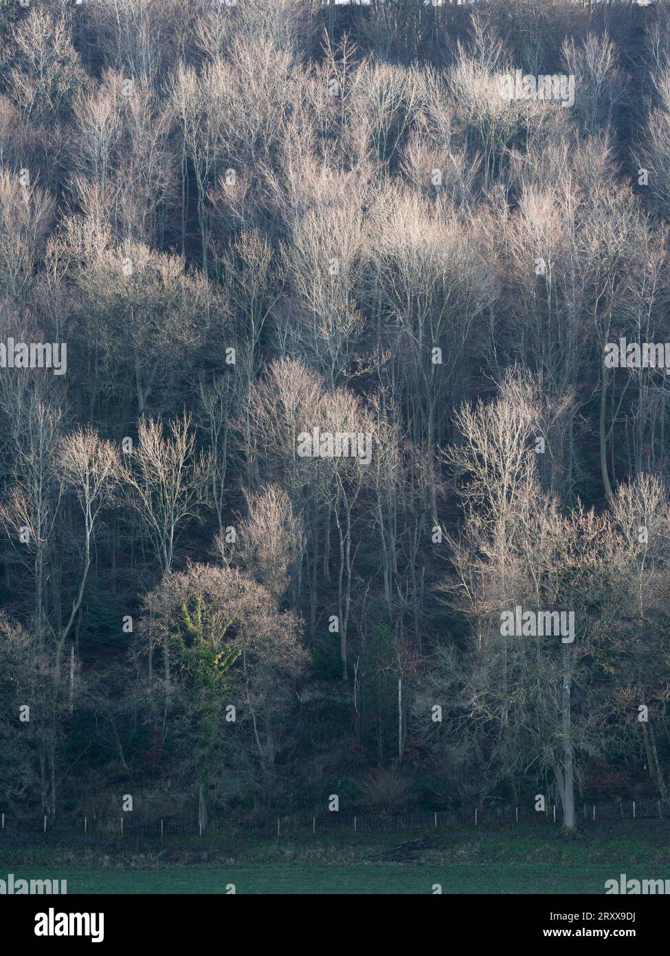 Wenlock edge in winter hi-res stock photography and images - Alamy