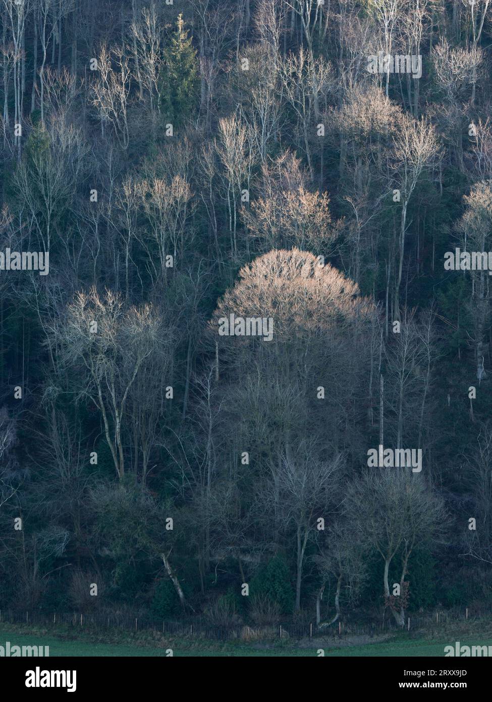 Wenlock edge in winter hi-res stock photography and images - Alamy