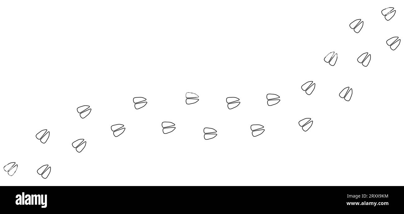 Path of White footprints of horse, cow, goat, sheep, deer, elk ...