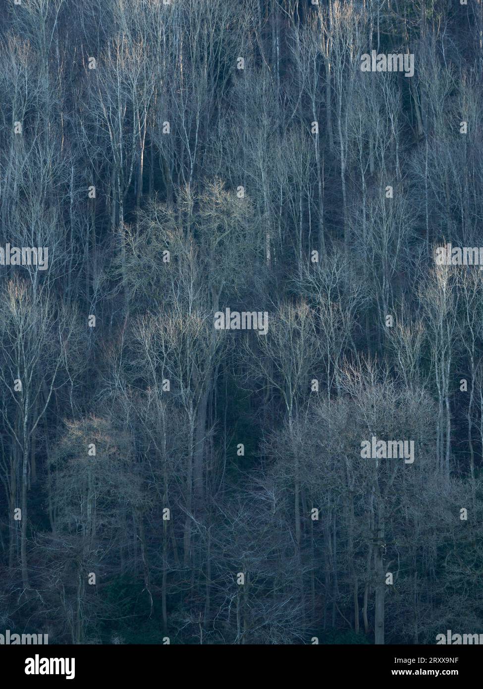 Wenlock edge in winter hi-res stock photography and images - Alamy