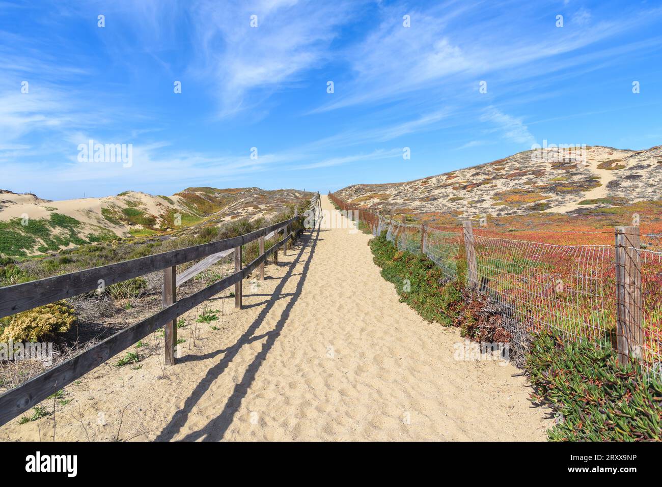 Footpath through dunes coast hi-res stock photography and images - Alamy