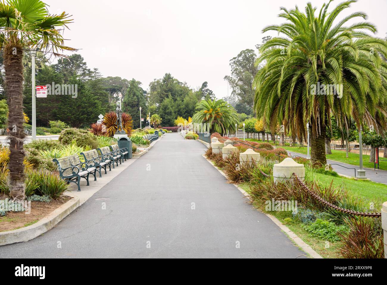 Deserted paved path lined with empty wooden benches in a public park on ...