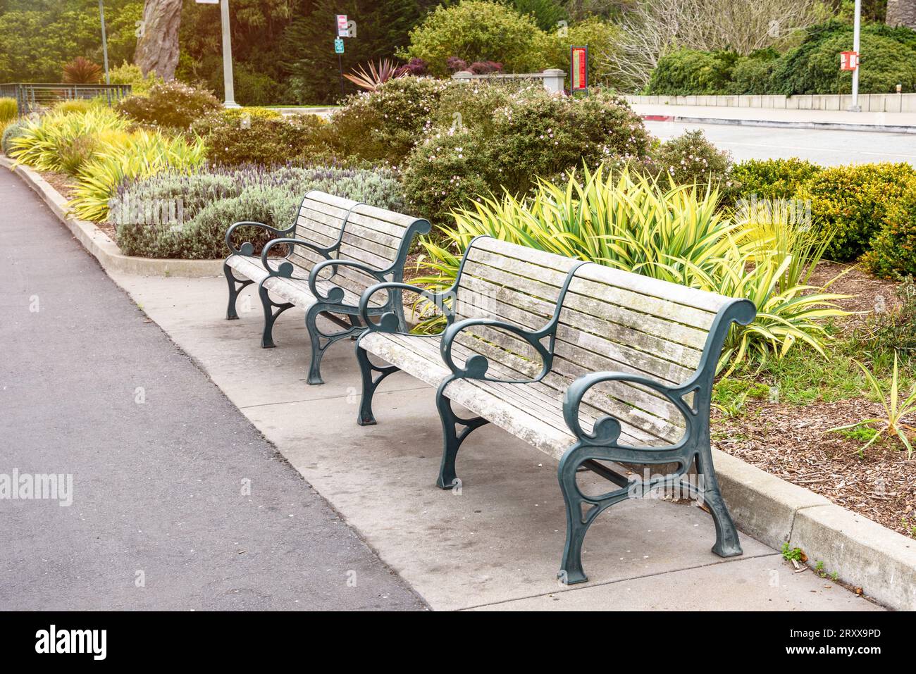 Empty wooden benches along a paved path in a park in autumn Stock Photo ...